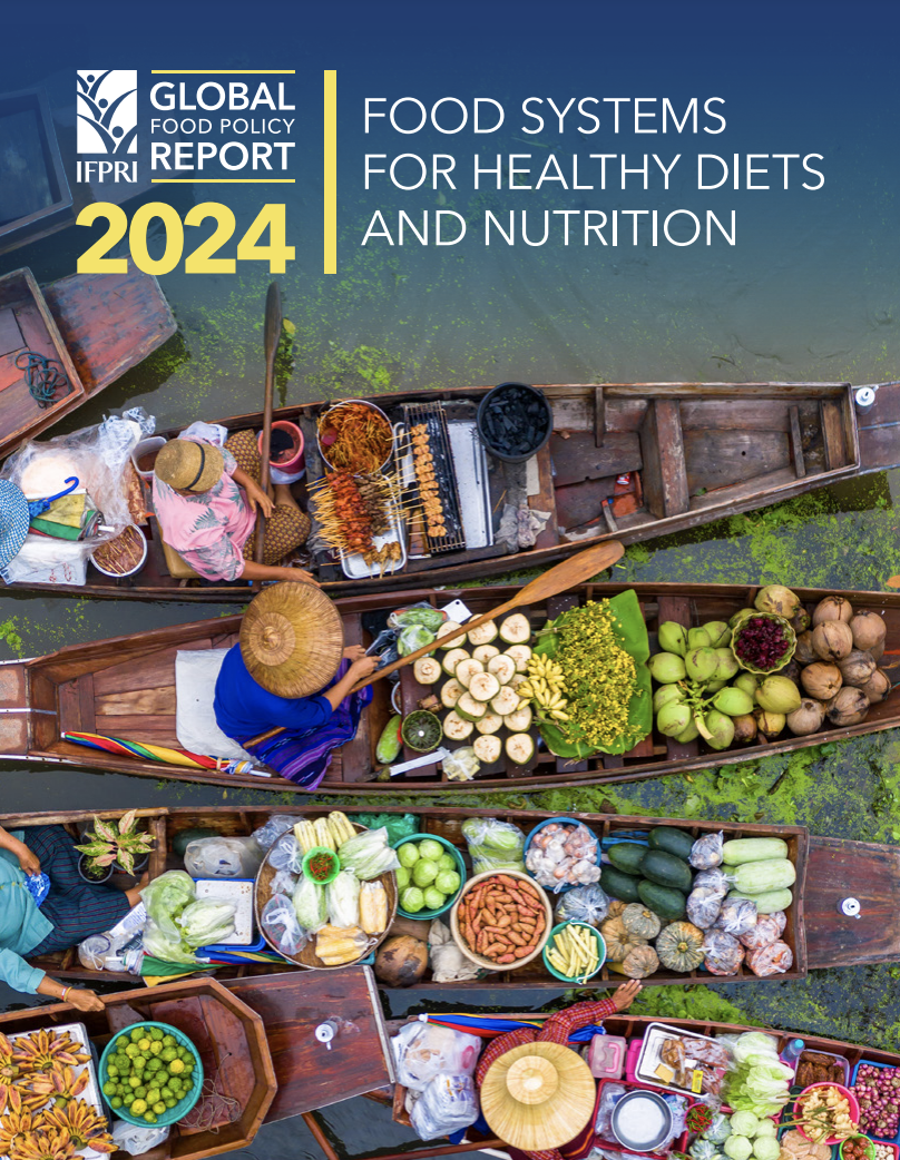 Global food policy report 2024: Food systems for healthy diets and nutrition | UN‑Nutrition: the ...